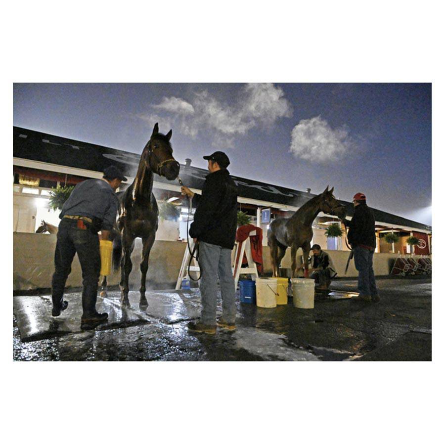 Life in the Stables by Dan Dry | A Taste of Kentucky